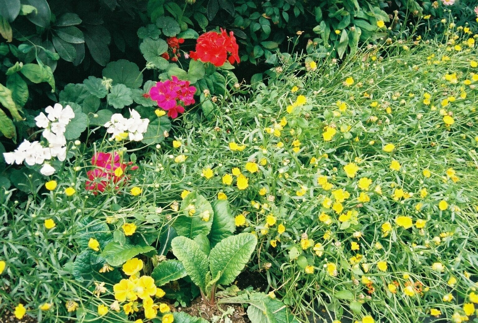 あたらしいあさ – DAOKO's Blog